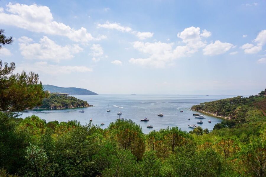 Istanbul: Princes' Islands Cruise w/Music, Lunch & Transfer - The Experience: What You’ll Feel