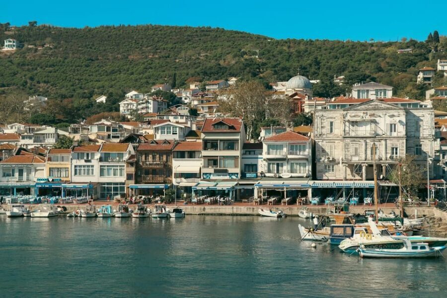 Istanbul: Princes Islands Walking Full-Day Tour - Exploring Büyükada’s Historic Charm