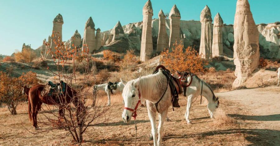 Istanbul to Cappadocia All Inclusive Private Day Tour - The Value of This Tour