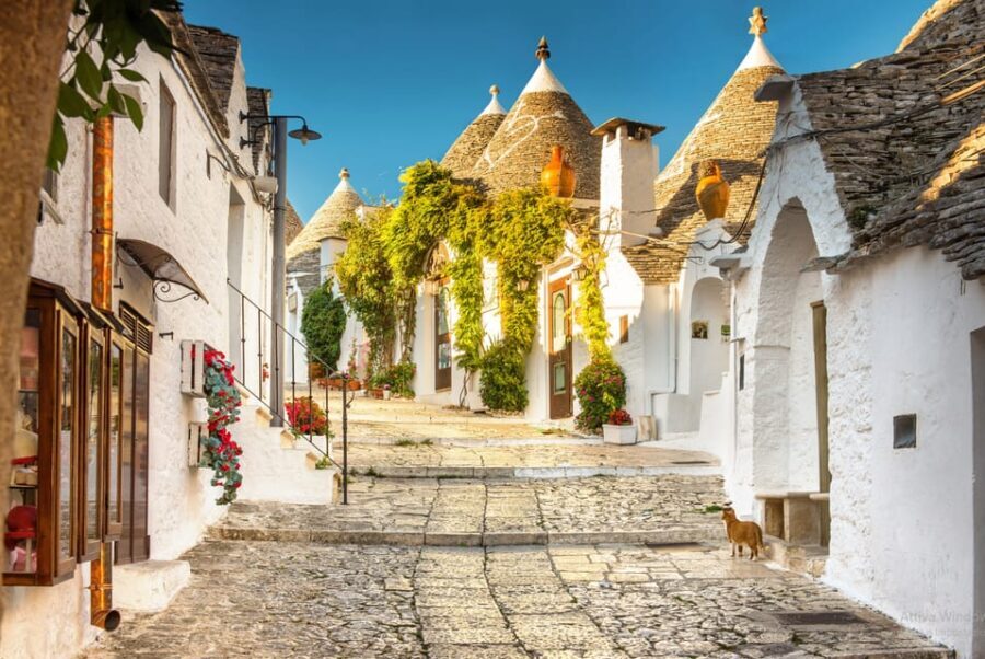 Itria Valley Tour, Alberobello, Ostuni, Cisternino, Locorotondo - The Bottom Line