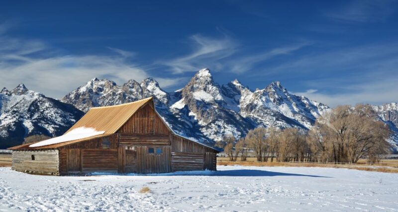 Jackson: Grand Teton, Bighorn Sheep, and Petroglyphs Tour - Key Points