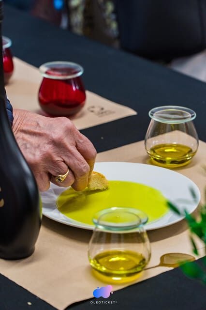 Jaén: Guided Olive Mill Tour with Olive Oil Tasting - What to Expect from the Tour