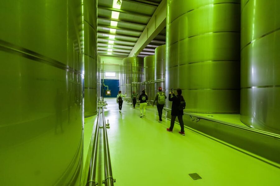 Jaén: Unforgettable visit to the olive mill + EVOO tasting - The Scenic and Cultural Context