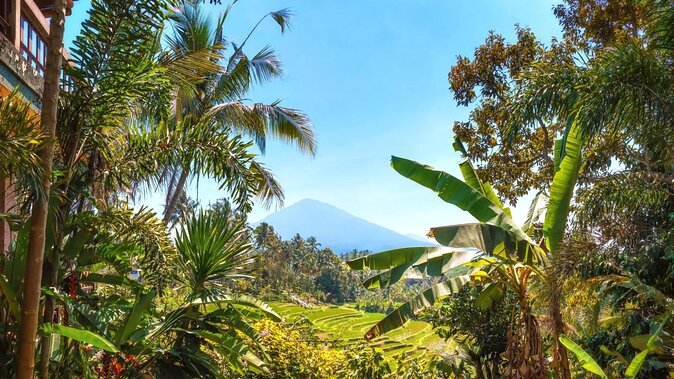 Jatiluwih Batukaru Mountain Nature's Best Tour - A Closer Look at the Jatiluwih Batukaru Mountain Nature’s Best Tour