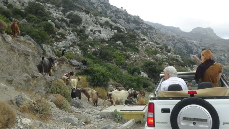 Jeep Driving Tour to Thripti Mountains and typical villages - Who Is This Tour Best For?