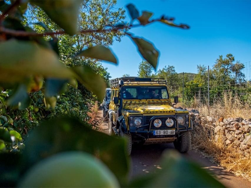 Jeep Safari Tour - Full Day - Who is this tour best suited for?