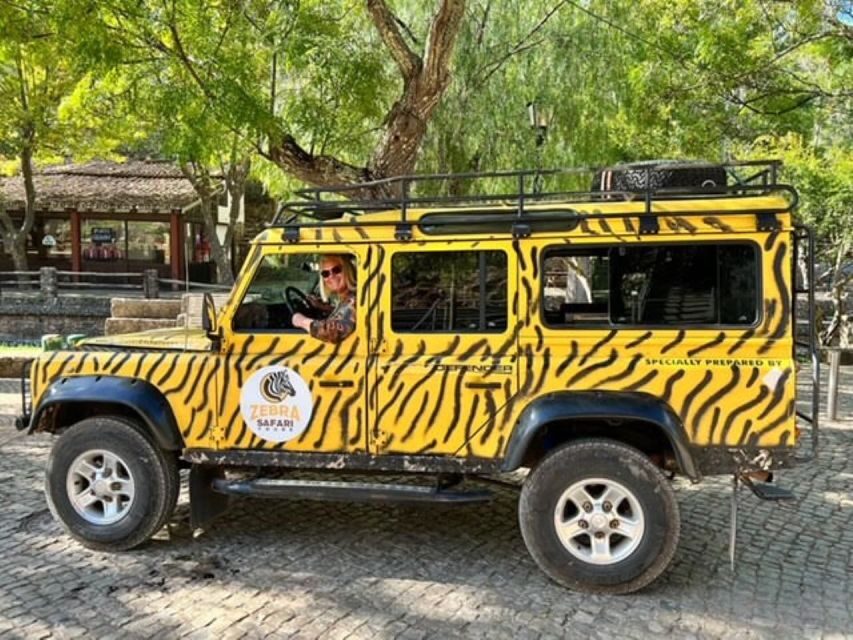 Jeep Safari Tours- Half Day - The Itinerary Breakdown