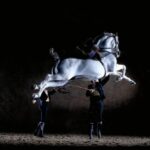 Jerez de la Frontera: Andalusian Horse Dance and Museums - Visiting the Museums
