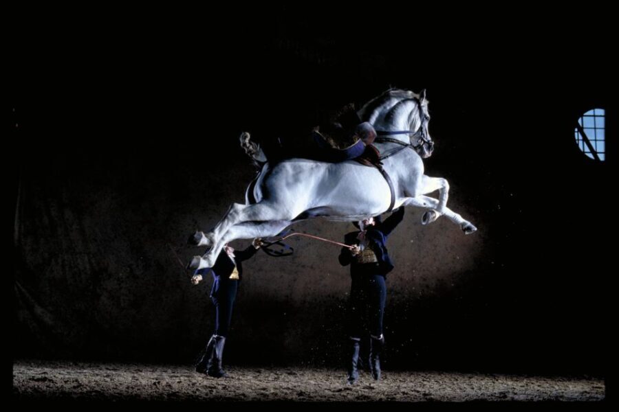Jerez de la Frontera: Andalusian Horse Dance and Museums - Visiting the Museums