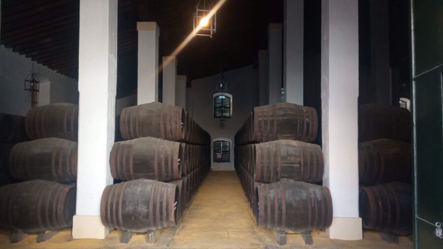 Jerez de la Frontera: Sherry Winery Tour with Tasting - The Sum Up: Who Should Consider This Tour?
