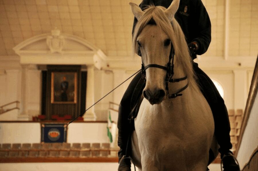 Jerez Private Tour From Seville: Wine and Equestrian Art - The Sum Up: Is It Worth It?