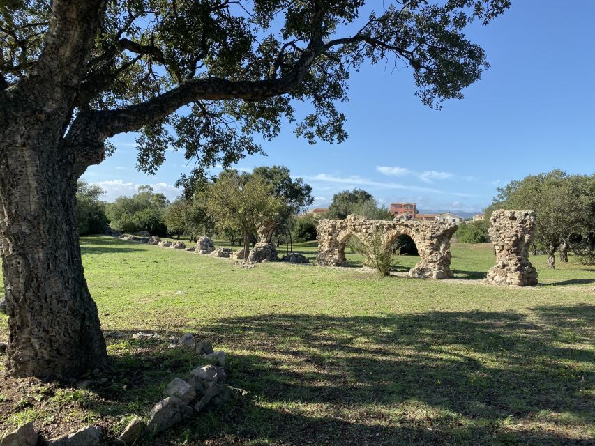 Journey Through Time - Discover Sardinia's Ancient Treasures - Practical Details and Why They Matter