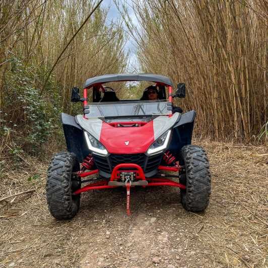Jungle: Buggy Adventure - The Experience in Context: What It Means for Travelers