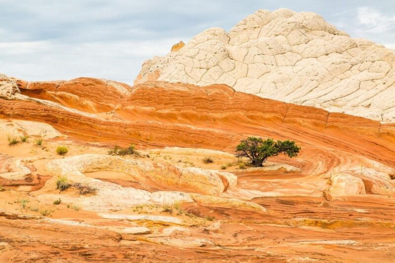 Kanab: White Pocket Tour & Hike - Key Points