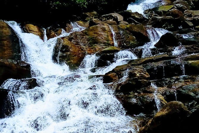 Kanneliya Rain Forest Tour - Key Points