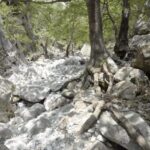 Kardamili : Hiking in Ridomo gorge - The Itinerary—What to Expect