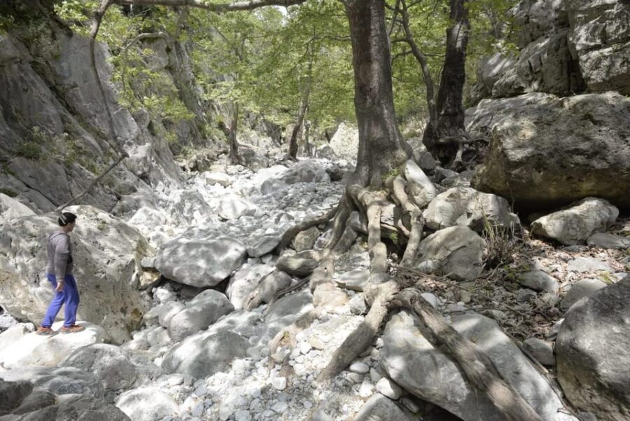 Kardamili : Hiking in Ridomo gorge - The Itinerary—What to Expect