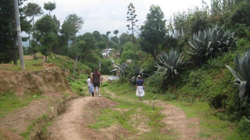 Kathmandu: Chisapani Nagarkot 3-Days 2-Nights Trek - Key Points