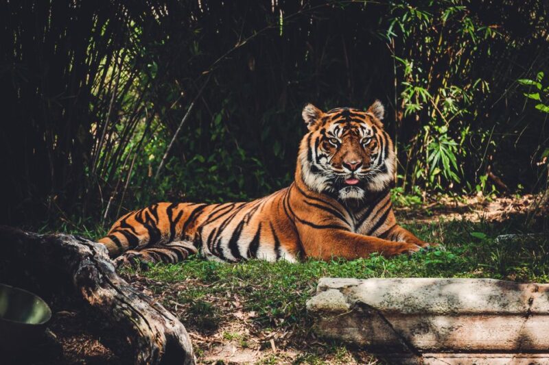Kathmandu/Pokhara: 2-Day Chitwan Safari Private Tour By Car - Key Points