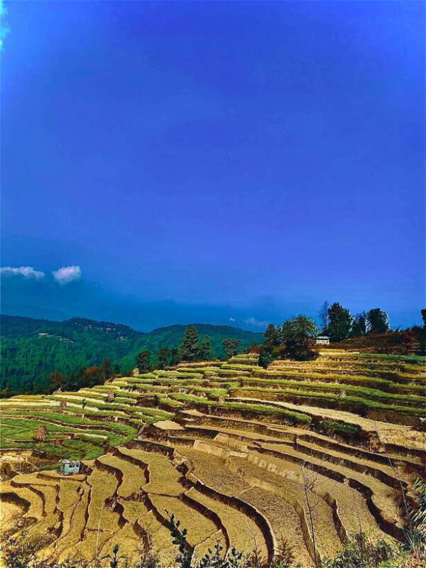 Kathmandu to Nagarkot Hike: Village Trails & Himalayan Views - Key Points