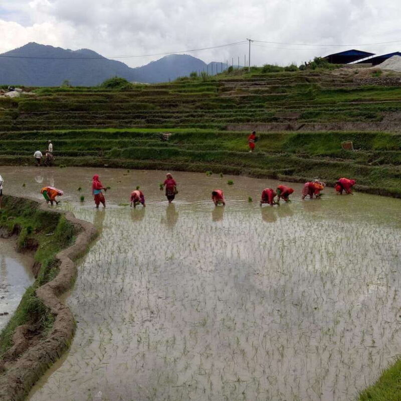 Kathmandu:7 Unesco tours, hikings, sunrise & more -All in 1 - Key Points