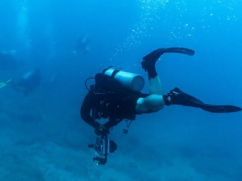 Kauai: Twilight/Night Shore Dive Experience - The Itinerary: From Sunset to Night