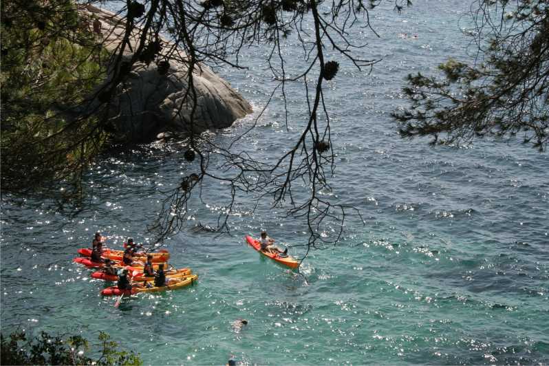 Kayak and Snorkel in Playa de Aro, Costa Brava - Key Points