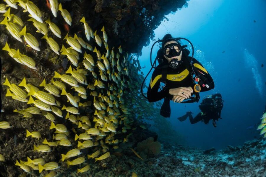 Kefalonia: Beginner Scuba Diving at Agia Efimia Village - Who Will Enjoy This Tour?