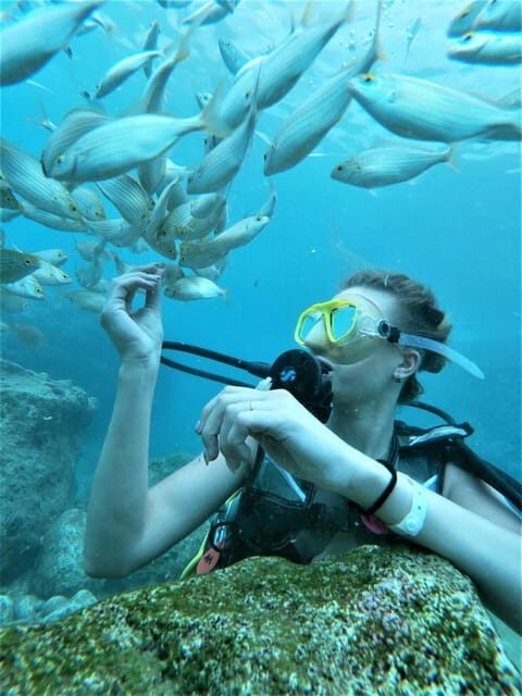 Kemer: Scuba Diving Experience in Aquarium and Kiris Bays - The Value of the Tour