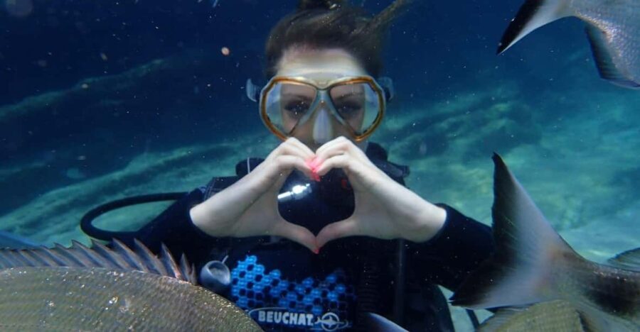 Kemer Scuba Diving - Is It Worth the Price?