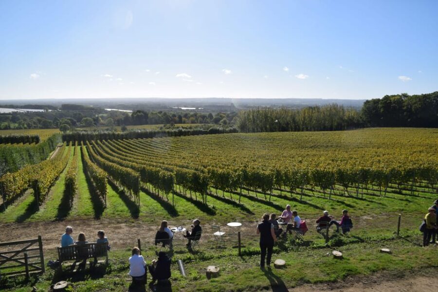 Kent: Yotes Court Vineyard Tour and Tasting - The Walking Tour: A Scenic Stroll