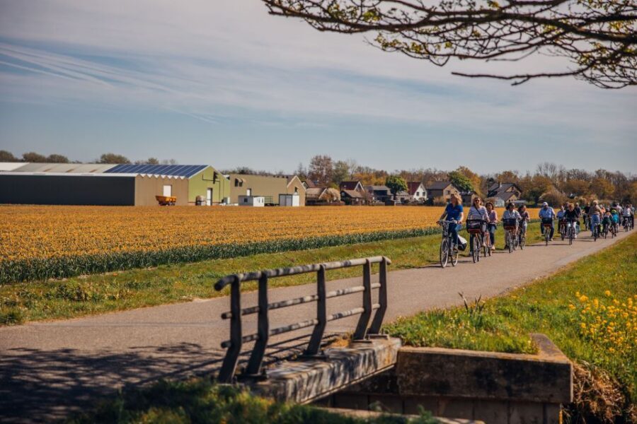 Keukenhof: Flower Fields Small-Group Cultural Bike Tour - Itinerary Breakdown