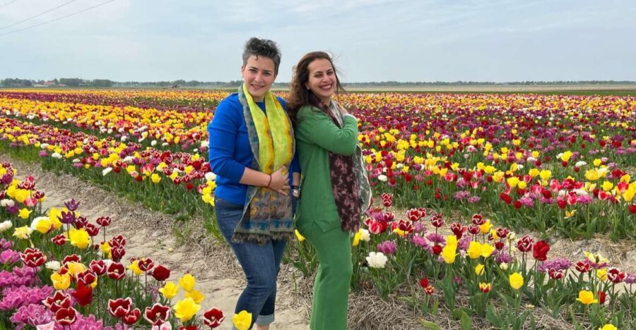 Keukenhof, Tulip Farm, Flower Fields & Windmills - The Itinerary: From Tulips to Windmills and Charming Villages