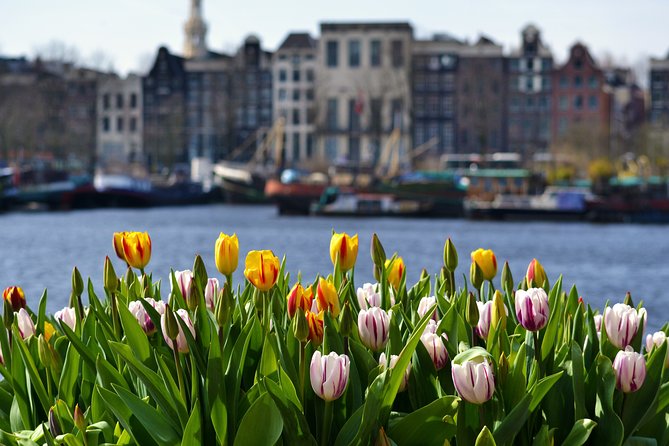 Keukenhof & Zaanse Schans (Best of Holland with windmill) Guided Tour with local - The Highlights of Keukenhof
