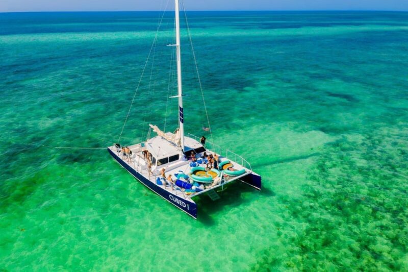 Key West: Afternoon Catamaran Sail and Dolphin Watch - Key Points