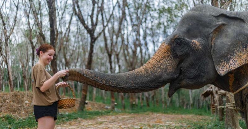 Khao Lak: 1-Hour Elephant Sanctuary Eco-Journey with Shuttle - Key Points