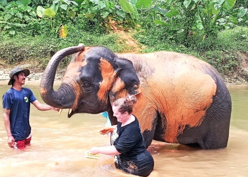 Khao Lak: Elephant Sanctuary Guided Tour - Key Points