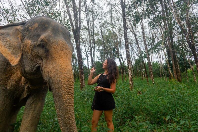 Khaolak: Begin the Day with Elephants - Walk and Feed Tour - Key Points