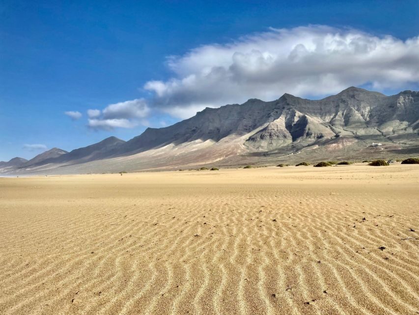 Kingdom Jandia: Cofete Beach & Roque Del Moro - Transportation & Group Size