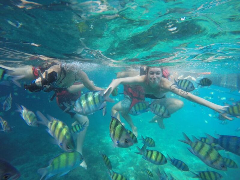 Koh Phi Phi: Captain Bob's Private Booze Cruise - Key Points