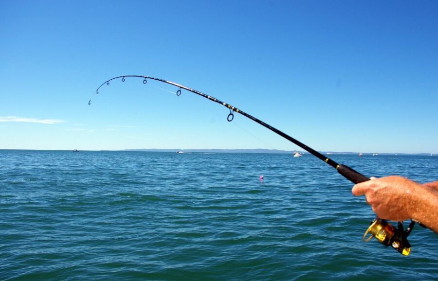 Kos: Fishing Trip Experience with a Greek Fisherman's Family - Practical Details and Value