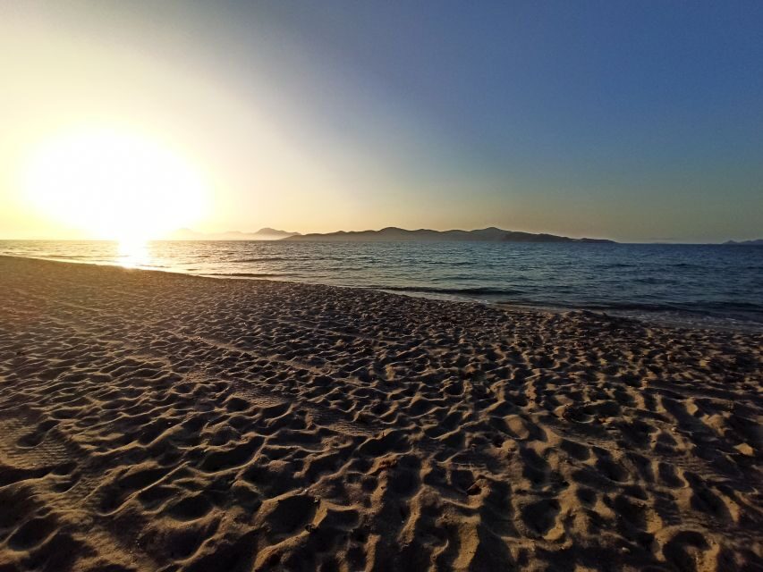 Kos: Horse Riding Experience on the Beach with Instructor - A Complete Look at the Horse Riding Tour in Kos