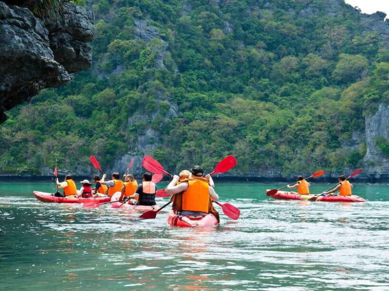 Krabi: Hidden Mangrove Kayaking Tour with Optional Extras - Key Points
