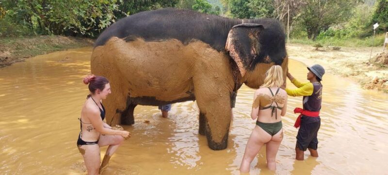 Krabi: Khao Sok Elephant Rescue Center & Bamboo Raft Paddle - Exploring the Krabi: Khao Sok Elephant Rescue Center & Bamboo Raft Paddle Tour