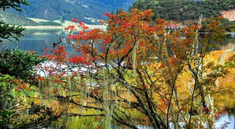 Kunming: 8-Day Yunnan Impression Tour - Key Points