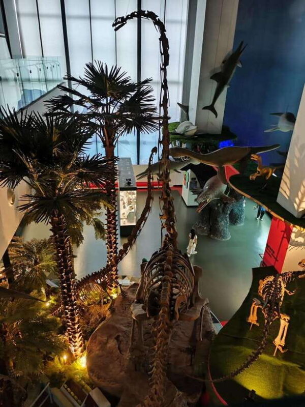 Kunming: Yunnan Provincial Museum Private Tour (Half Day) - Exploring Yunnans Heritage: A Review of the Kunming: Yunnan Provincial Museum Private Tour (Half Day)