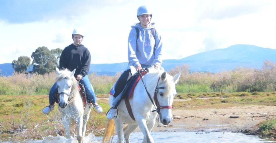 Kusadasi: Beach and Forest Horse Riding Tour - Transportation and Logistics
