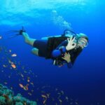 Kusadasi: Diving Experience with Lunch and Transfer - The Itinerary: What You Can Expect