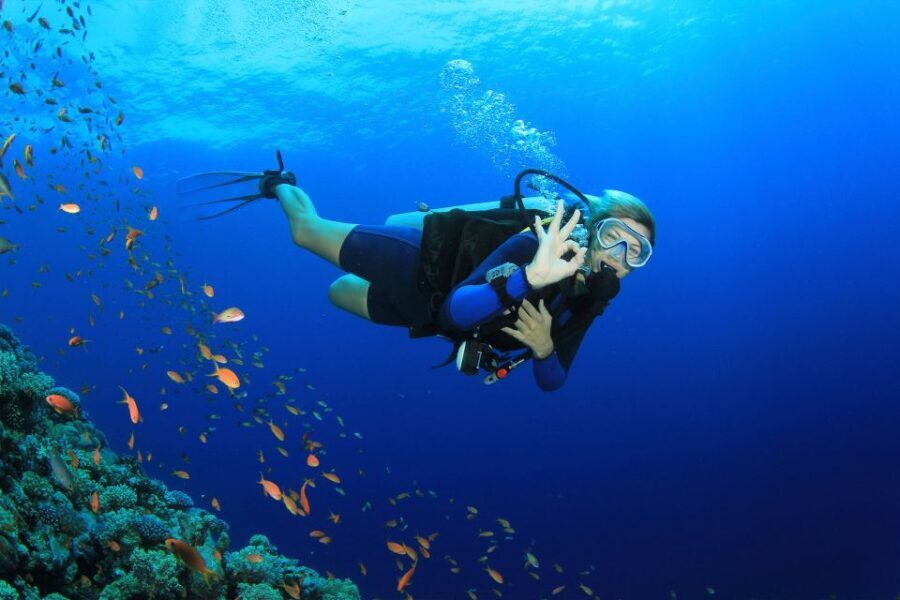 Kusadasi: Diving Experience with Lunch and Transfer - The Itinerary: What You Can Expect