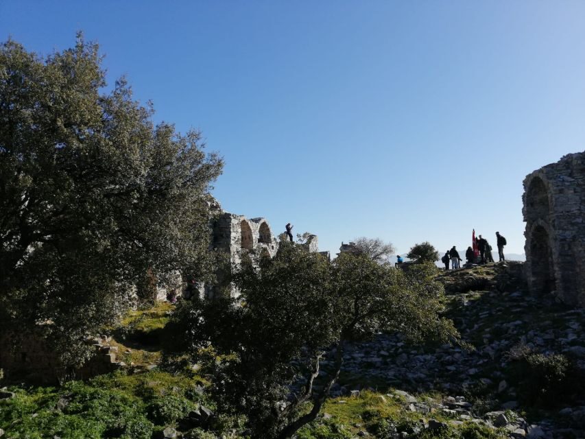 Kusadasi: Private Ephesus Tour For Cruisers - Discovering Ephesus and House of Mary: What to Expect
